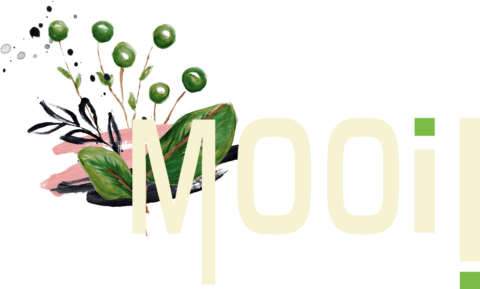 Mooij Bloemen – Bloemen laten bezorgen | Bloemenabonnementen